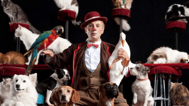Top 10 Best Family Friendly Shows In Las Vegas 2024 Las Vegas Direct top-10-best-family-friendly-shows-in-las-vegas-2024-las-vegas-direct