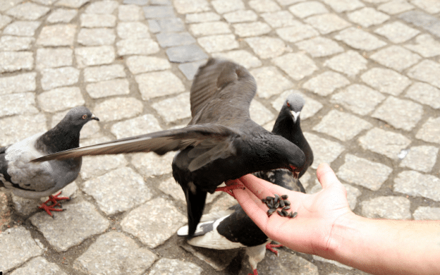 15 Strict Las Vegas Rules You Should Know Before You Go | Las Vegas Direct